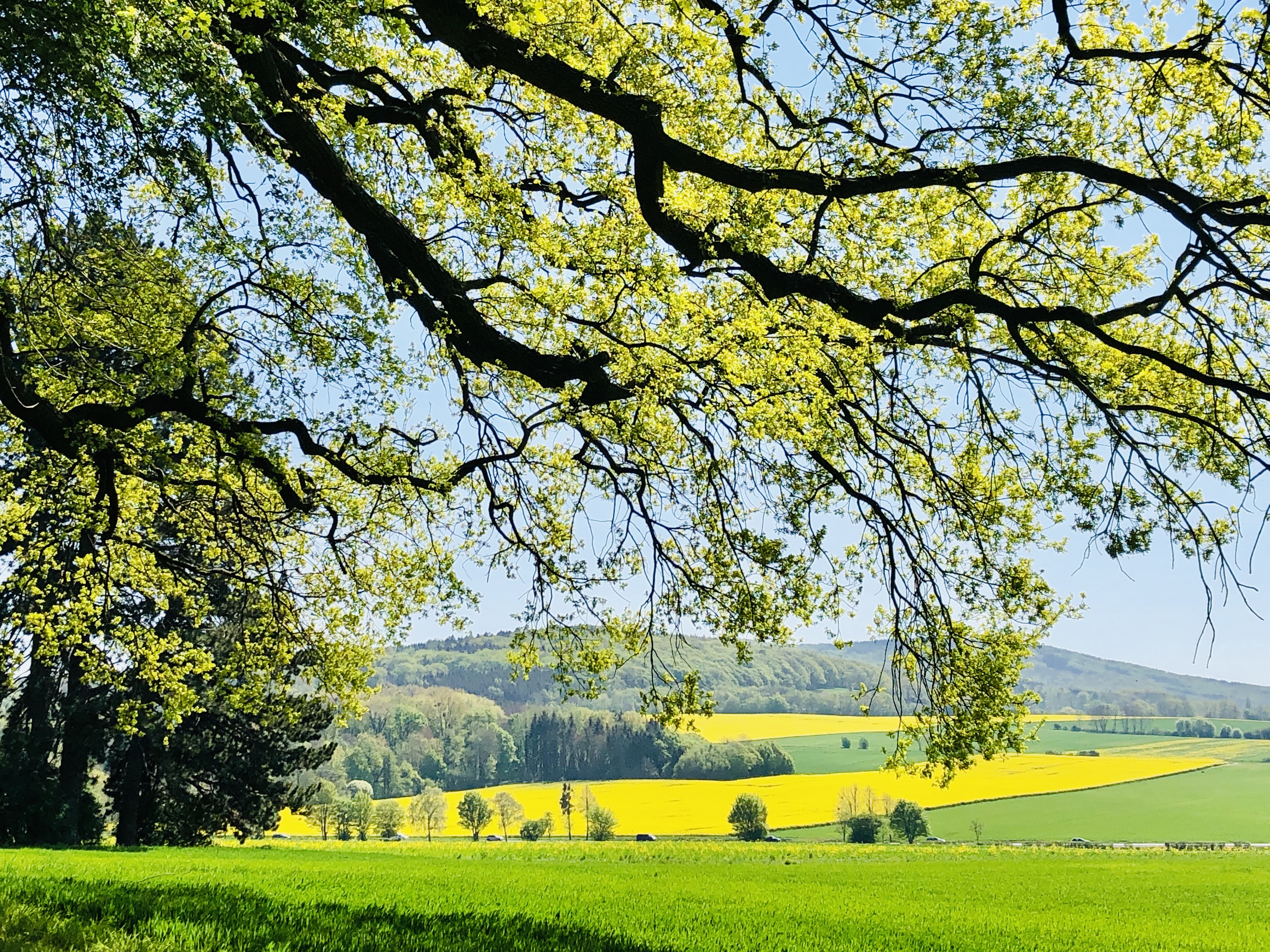 Erlebnisse und Thementouren 2025