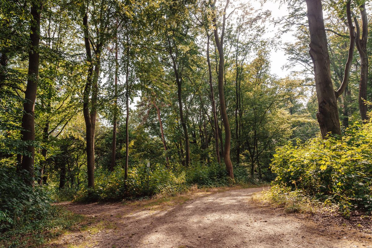 Bauarbeiten für die Landesgartenschau 2026 in Bad Nenndorf